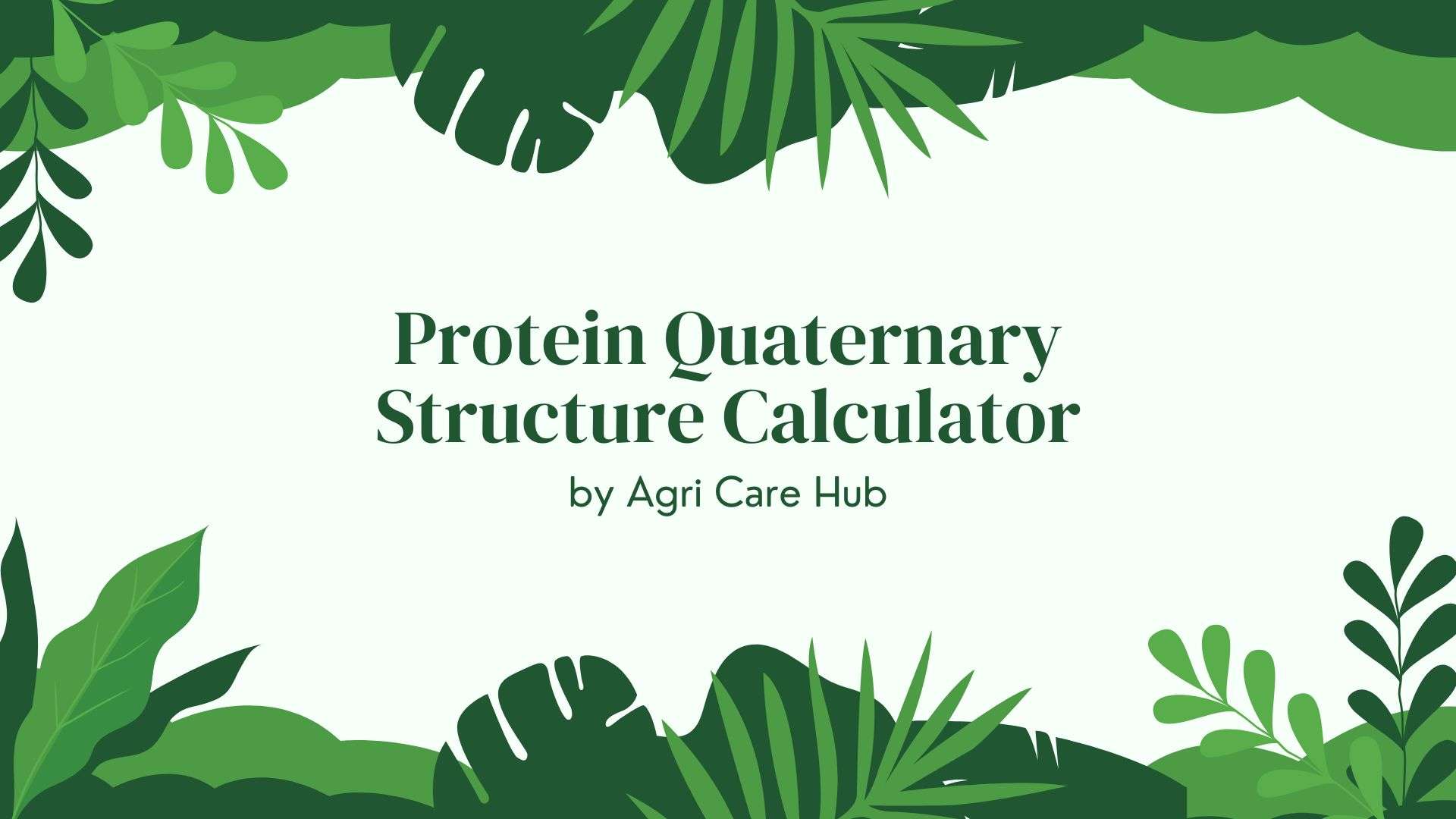 Protein Quaternary Structure Calculator - Free Tool