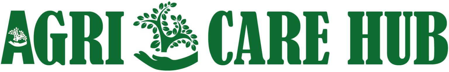 Geometric Sequence Calculator Quick And Precise Tool