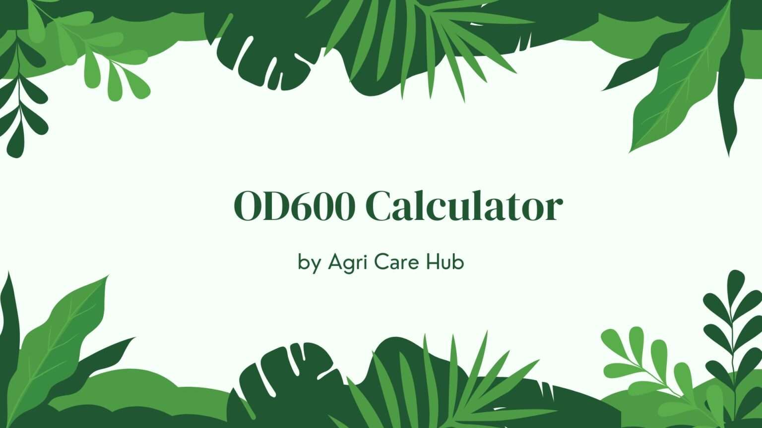 OD600 Calculator for Precise Bacterial Density
