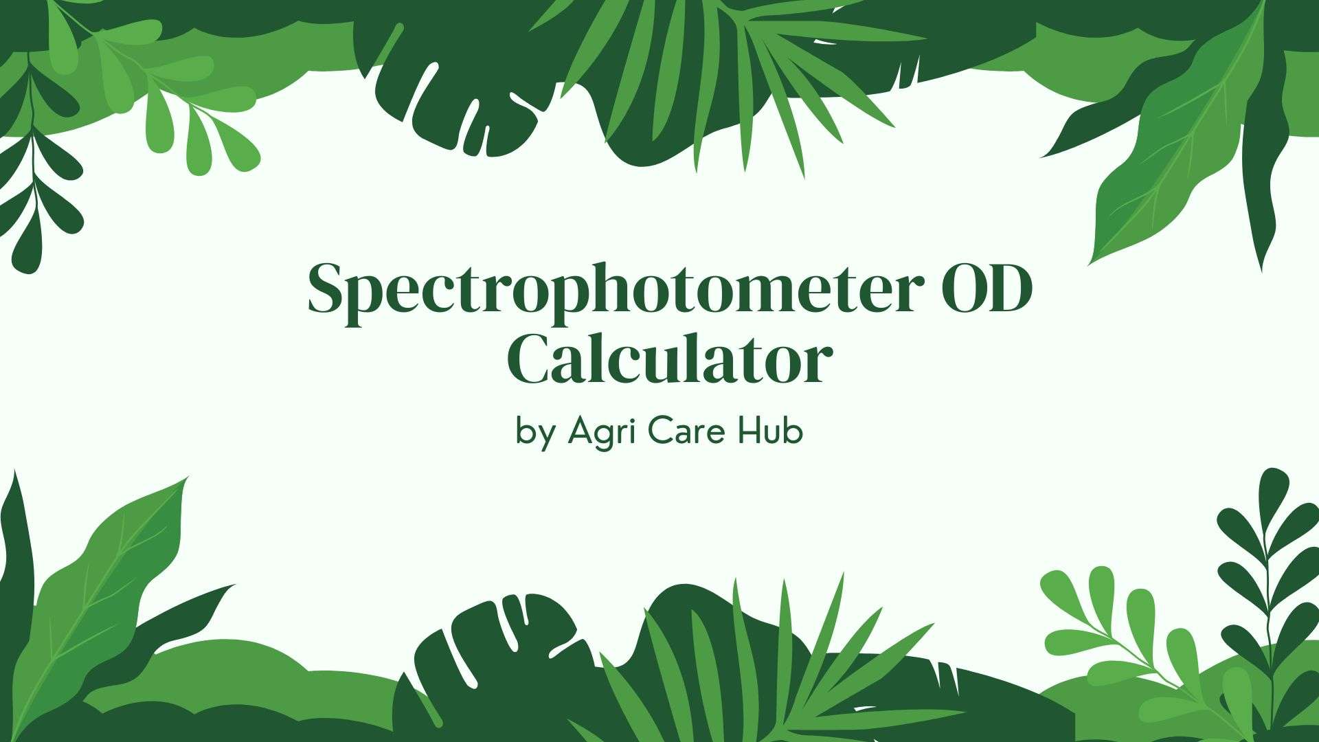 Spectrophotometer OD Calculator: Precise OD Analysis