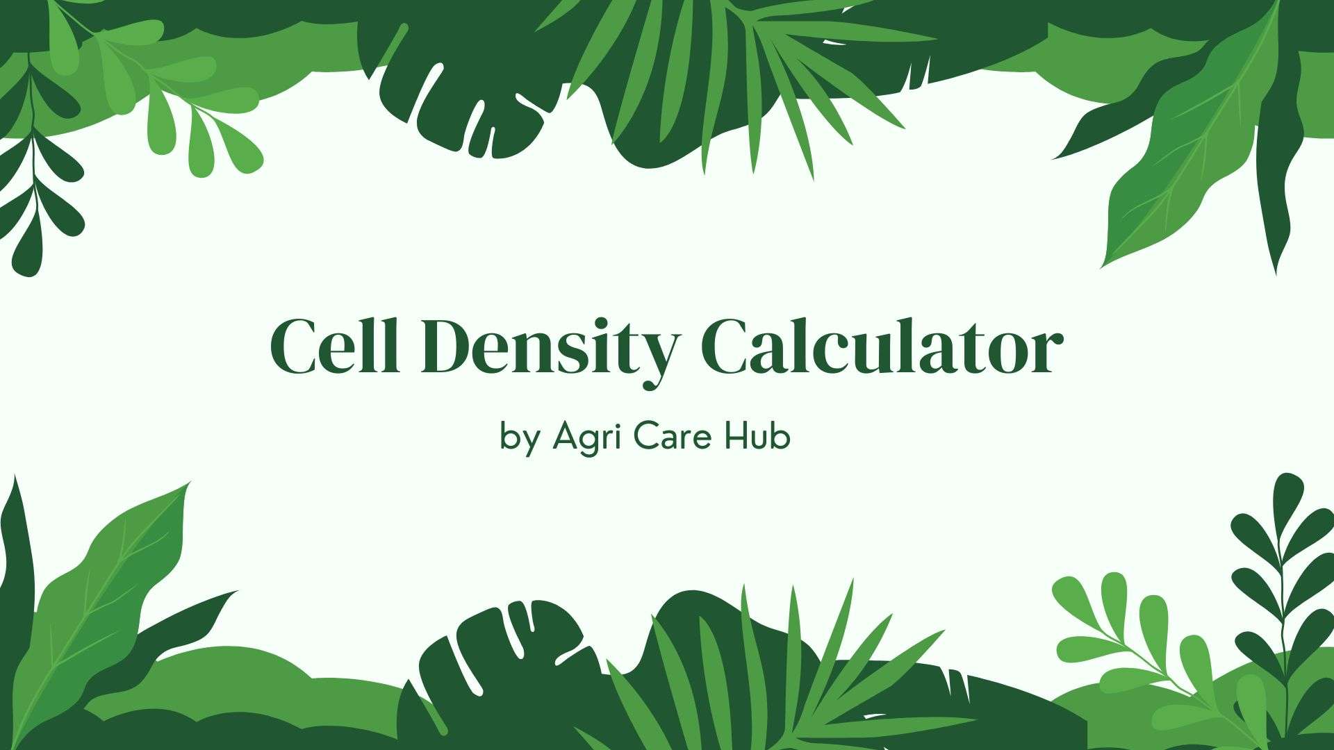 Accurate Cell Density Calculator for Scientists