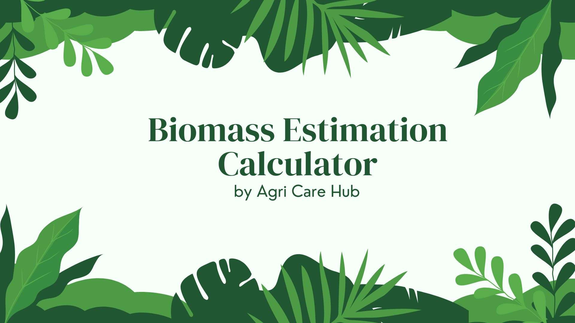 Biomass Estimation Calculator: Precise Tool