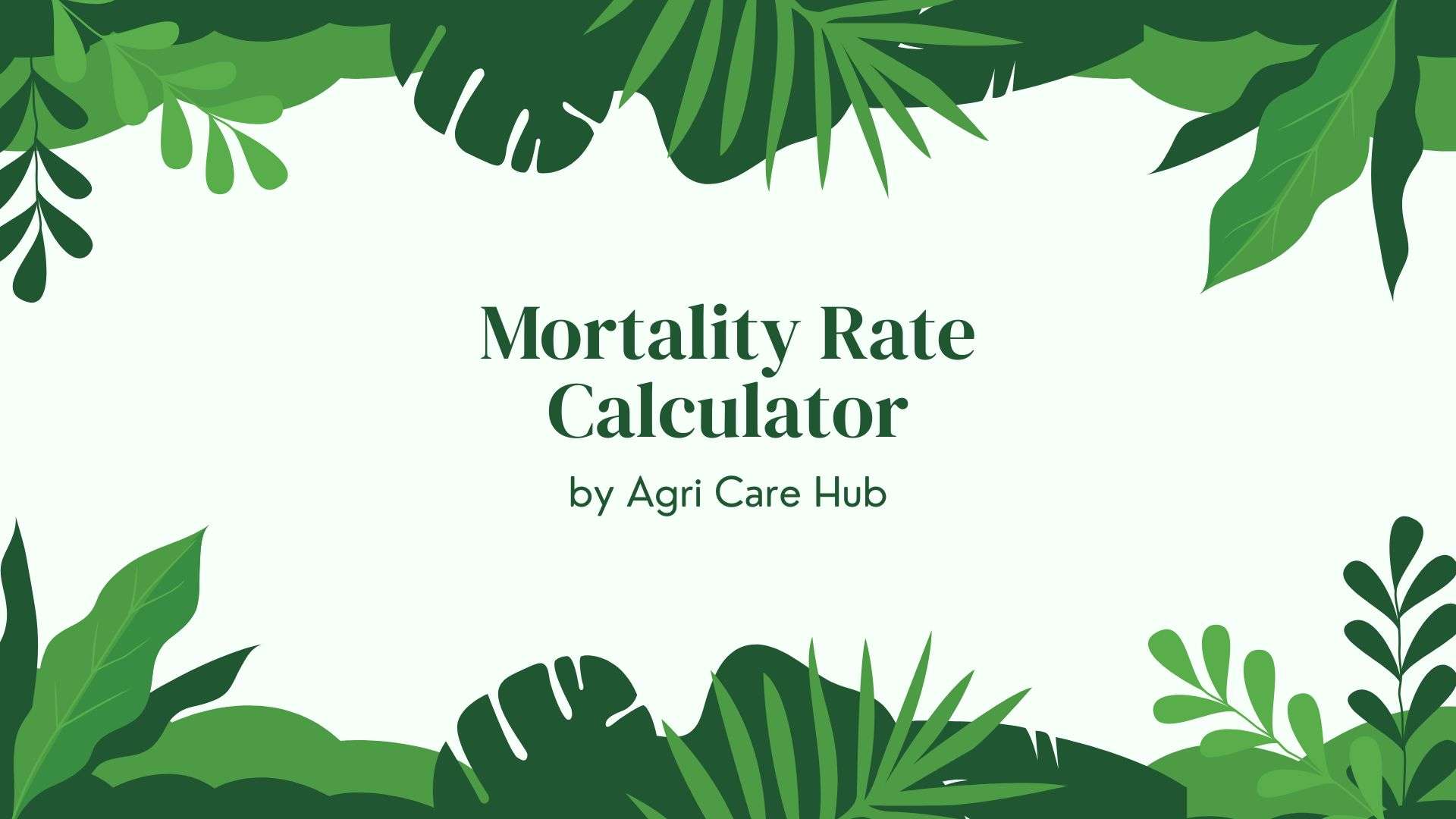 Mortality Rate Calculator: Health Stats Tool