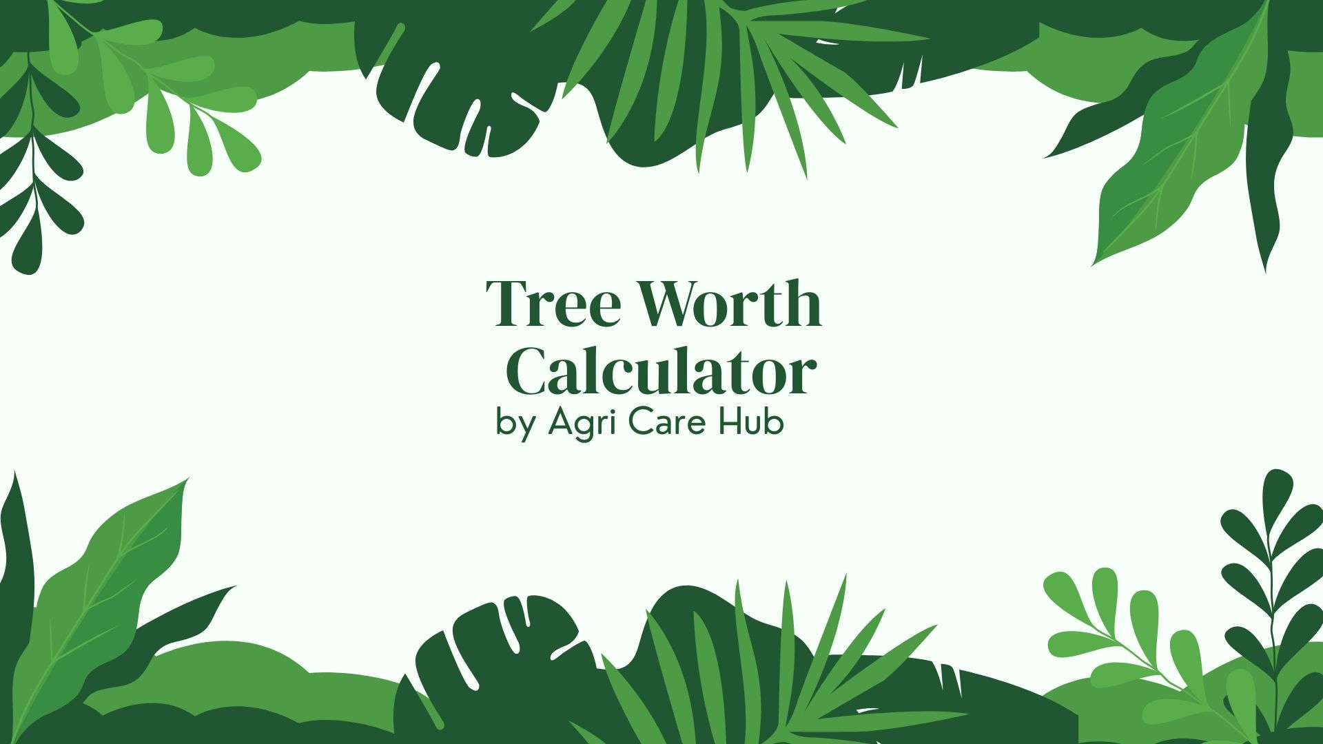 Tree Worth Calculator for Precise Tree Valuation