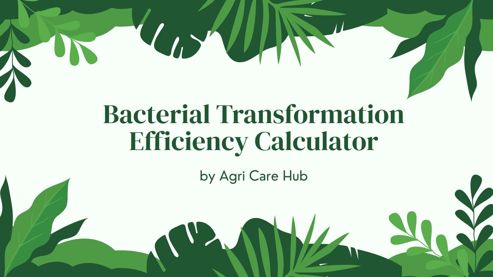 Bacterial Transformation Efficiency Calculator - Agri Care Hub