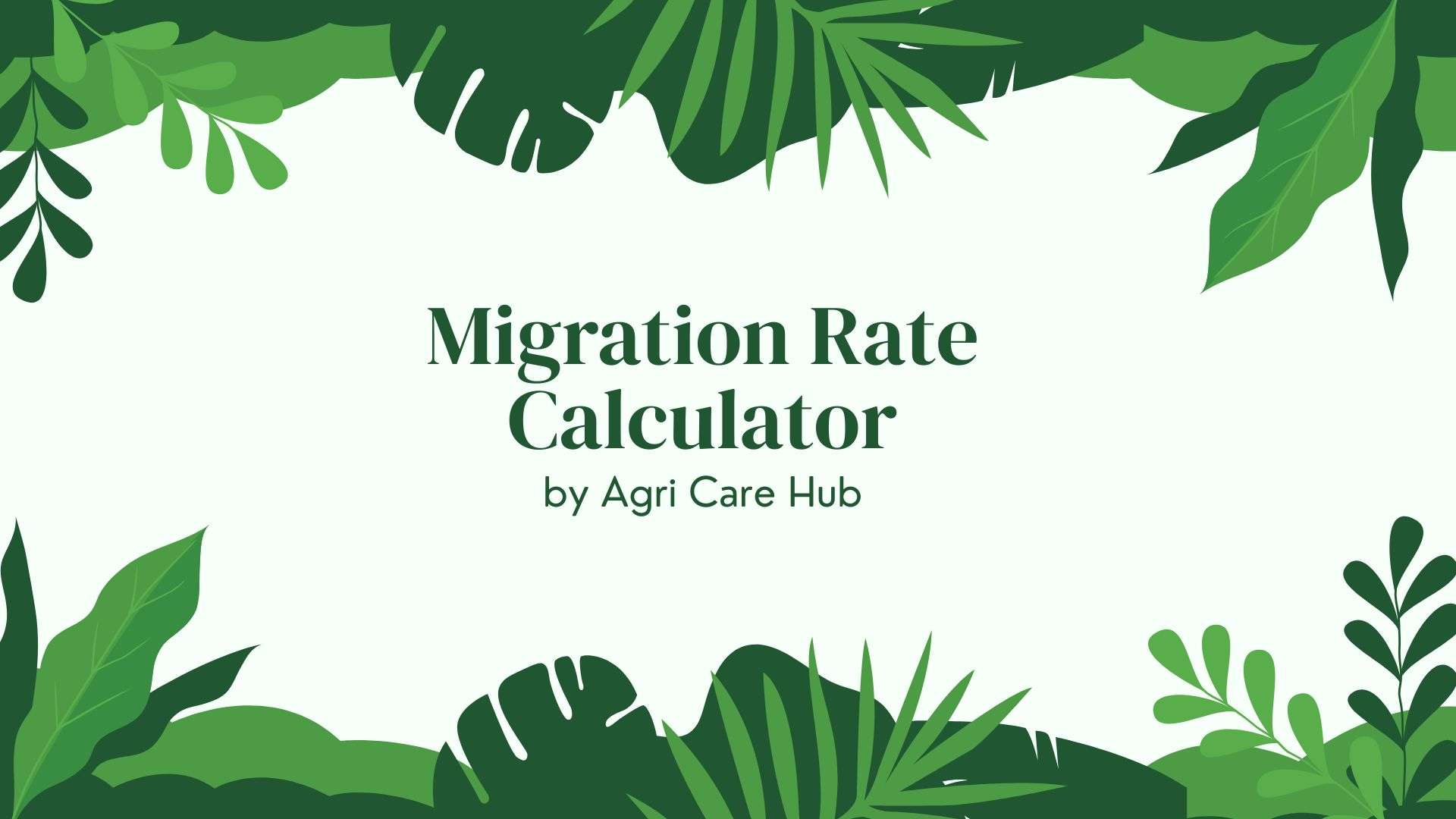 Migration Rate Calculator for Population Trends