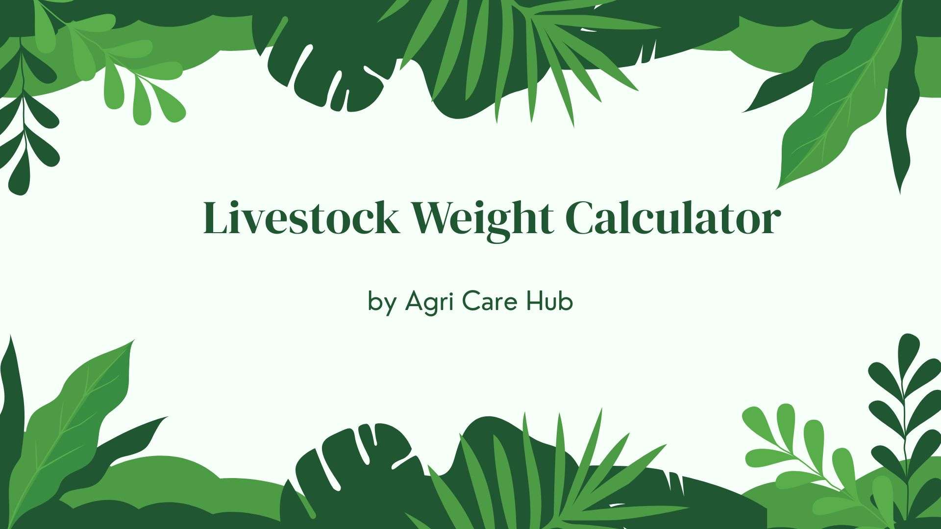 Livestock Weight Calculator - Accurate Weight Estimation Tool