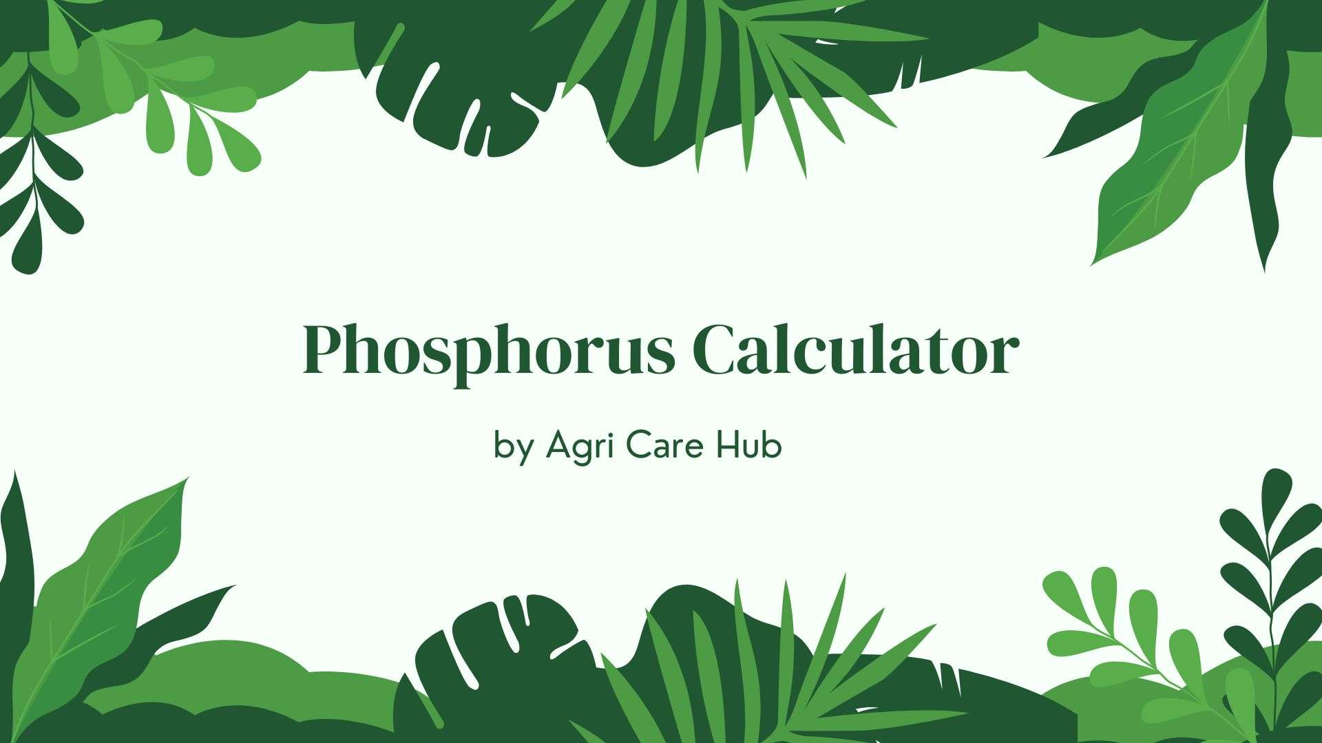 Phosphorus Calculator for Accurate Crop Nutrition
