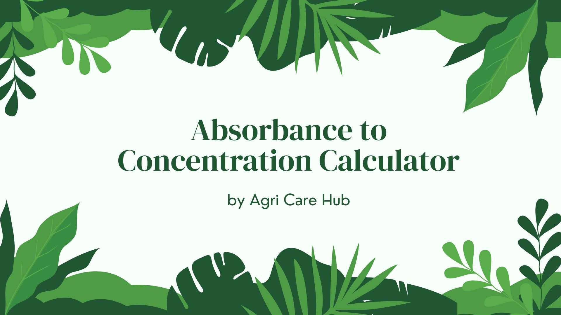 Absorbance to Concentration Calculator: Measure Now