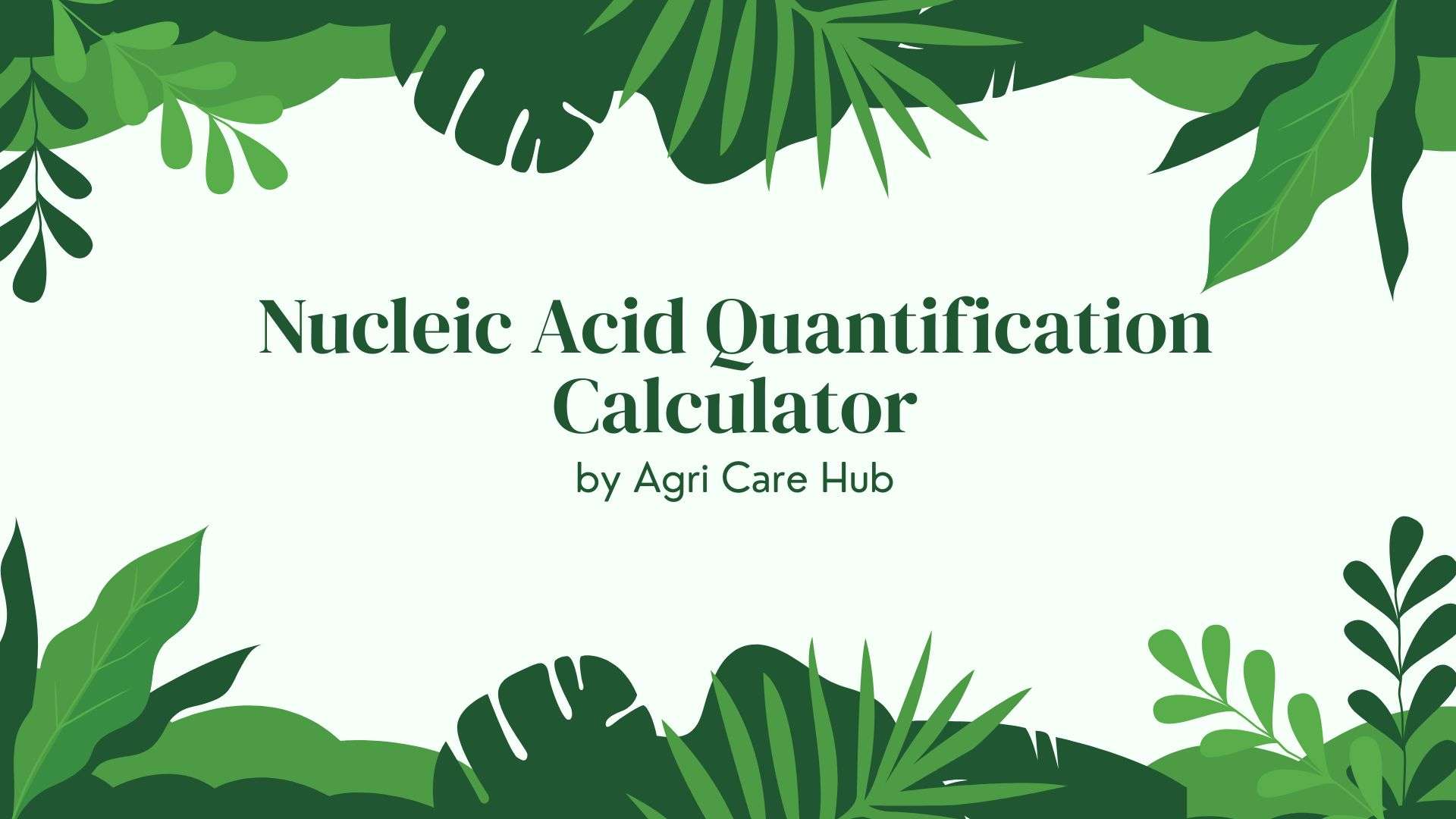 Nucleic Acid Quantification Calculator: Measure DNA/RNA