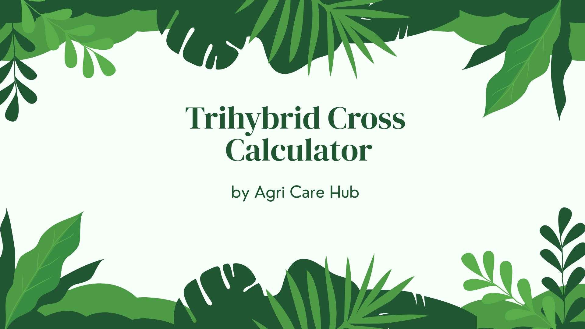 Trihybrid Cross Calculator: Predict 3-Trait Outcomes