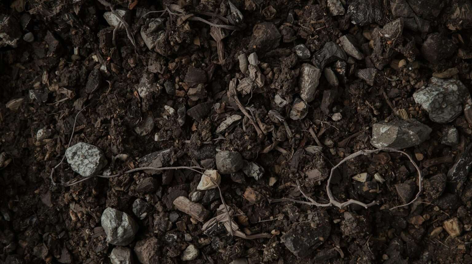 Horticultural Grit: Boost Soil Drainage & Plant Health
