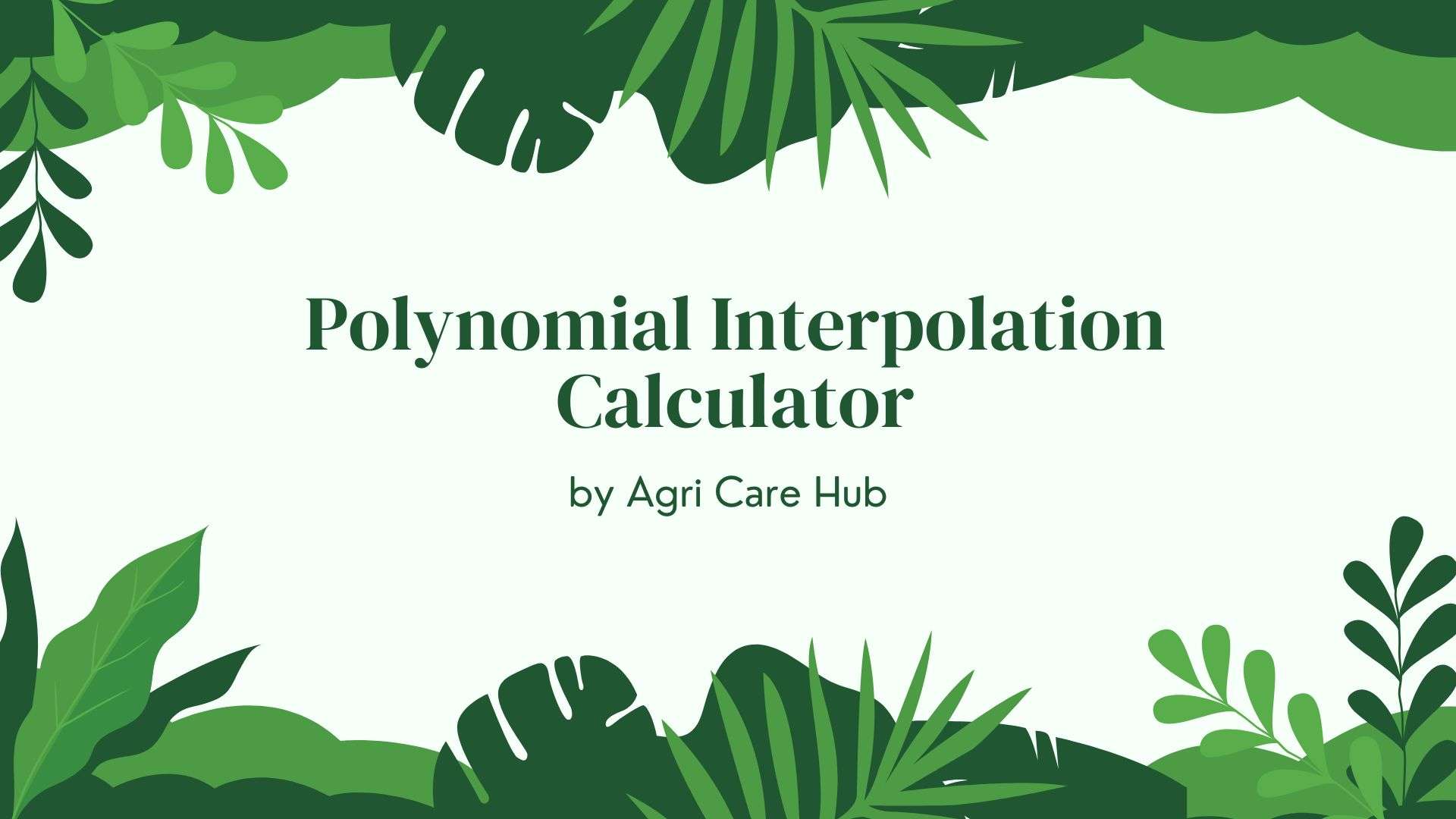 Polynomial Interpolation Calculator Online